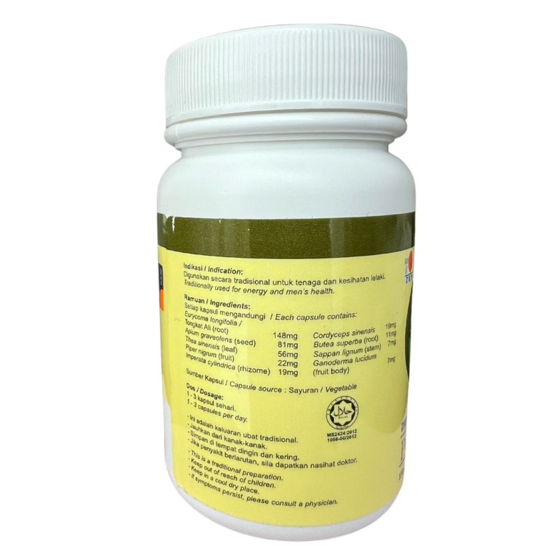 Tongkat ali + champignon reishi Ganoderma + Cordyceps