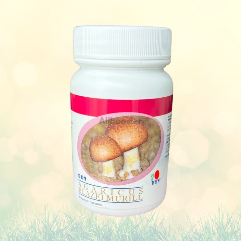DXN Agaricus Blazei Murill Himematsutake sun mushroom