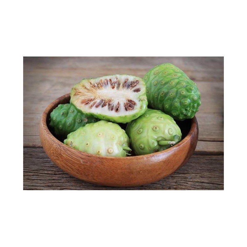 DXN Mengkudu Morinda citrifolia Noni