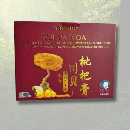Pei Pa Koa Lignosus Tiger milk Cordyceps Chuanbei Bulbus Toux